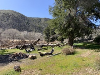 Hartman Camp - Los Padres | Backpacking, Camping, MTB, OHV, and Hiking ...