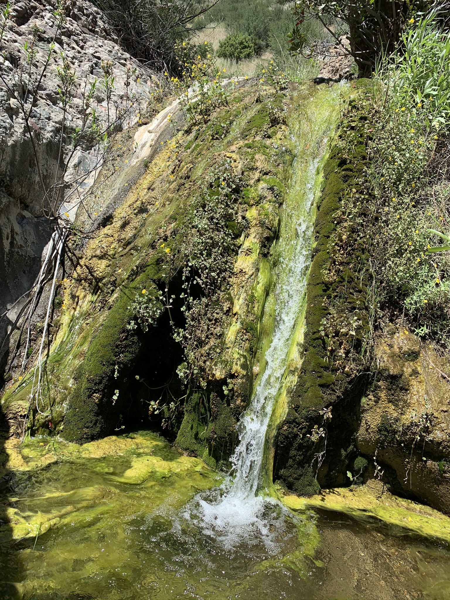 Halfway Spring - Los Padres | Backpacking, Camping, MTB, OHV, and ...