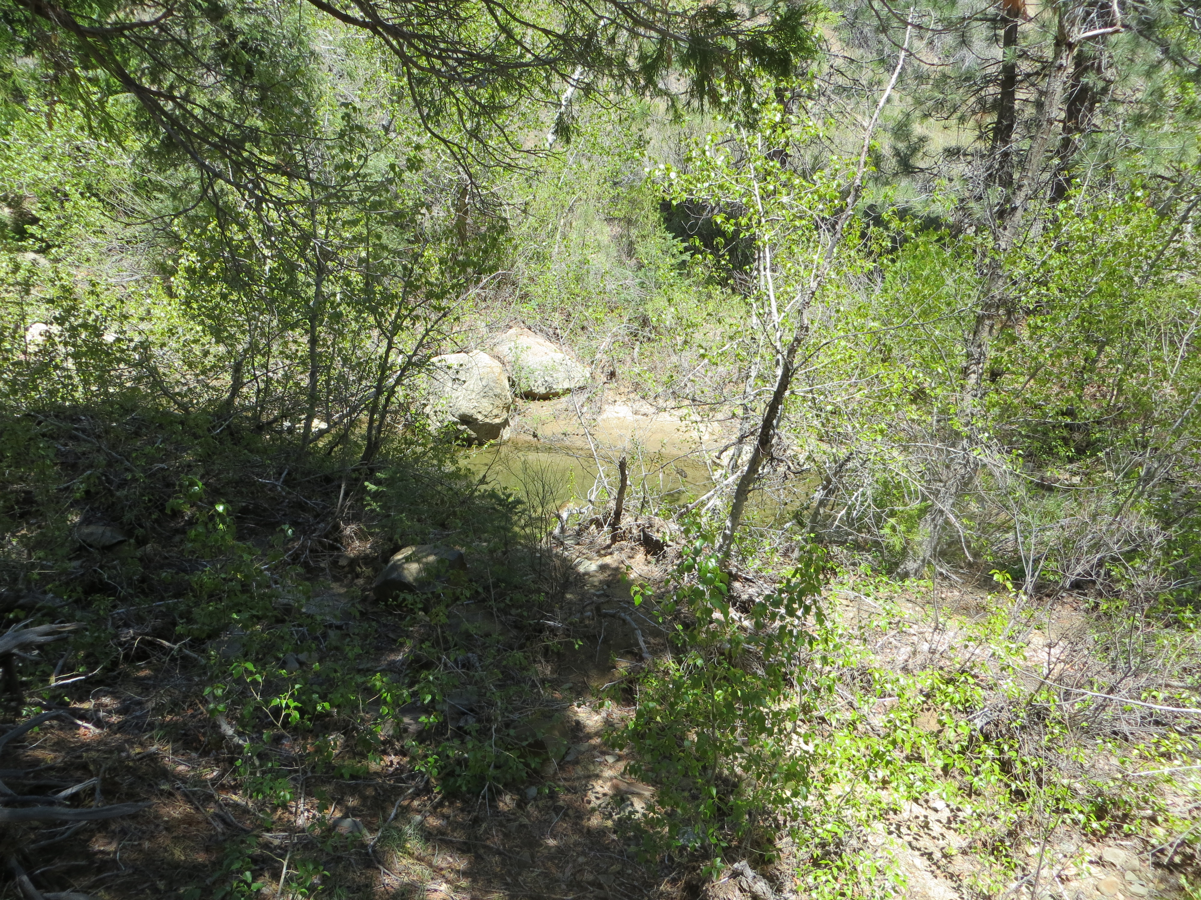 Three Mile Camp - Los Padres | Backpacking, Camping, MTB, OHV, and ...